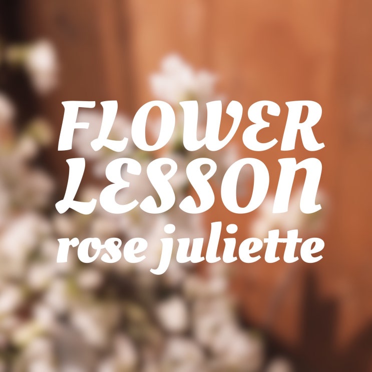 Flower Class 4월 개강 (2018.4) : 네이버 블로그