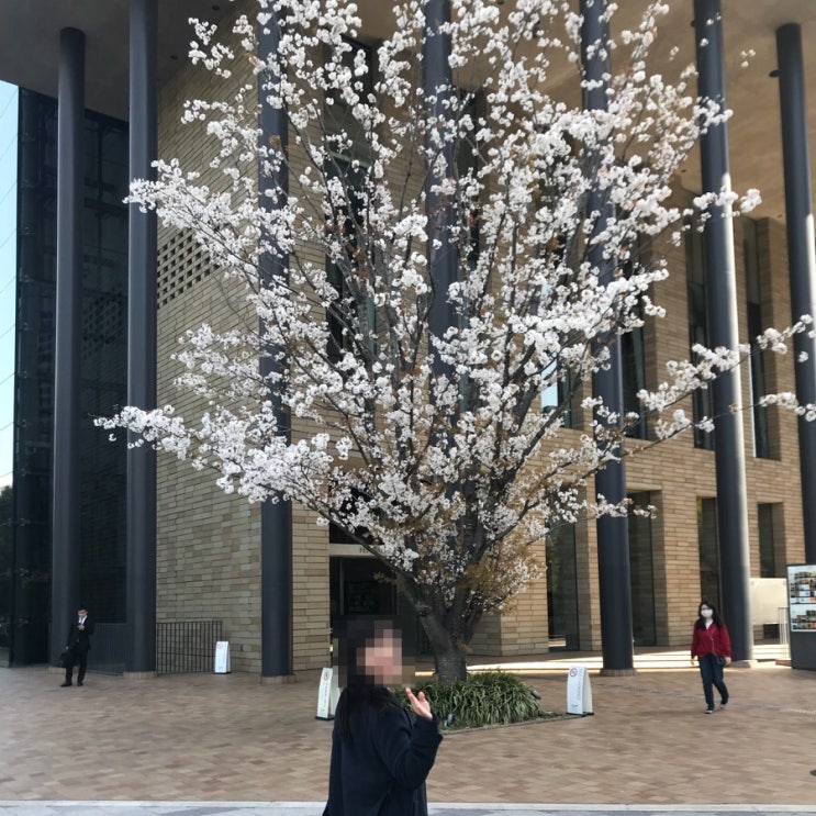 18 오사카여행 Quintocanto - 일본은 미식 천국 : 네이버 블로그