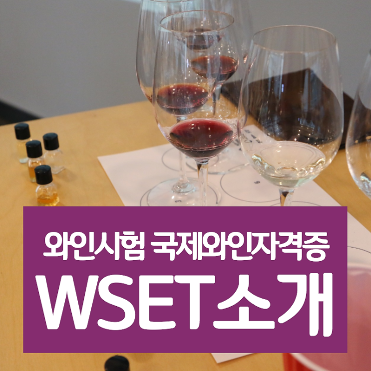 와인시험 국제와인자격증 wset 소개 : 네이버 블로그
