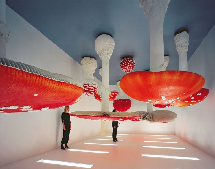 [TDIC NEWS] Contemporary Artist: Carsten Höller : 네이버 블로그