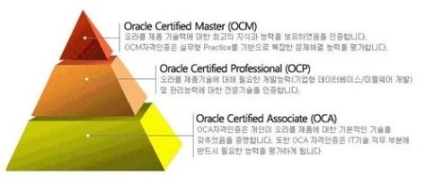 오라클(OCA, OCP, OCM) 자격증 취득하려면? : 네이버 블로그