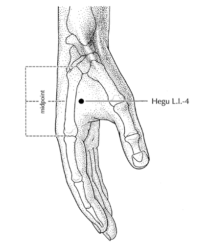 수양명대장경 Large Intestine Channel of the Hand Yangming : 네이버 블로그