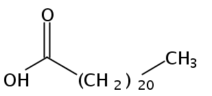 [Saturated Fatty Acid] Docosanoic acid (도코산); Behenic acid (베헨산); 1 ...