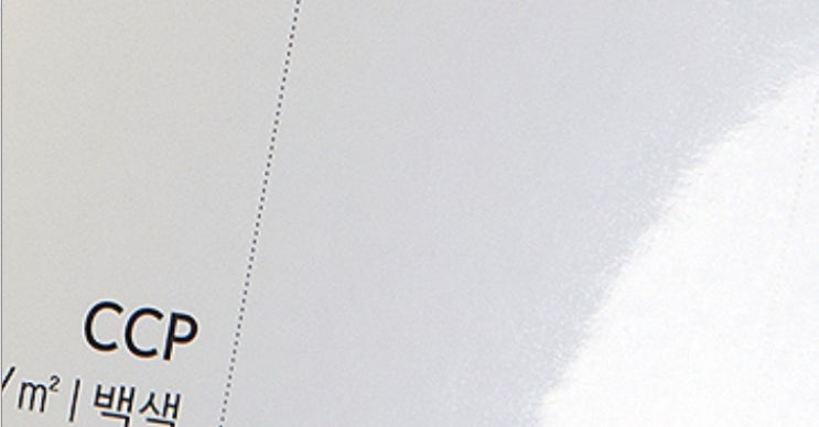 [판지]ccp지 : 네이버 블로그