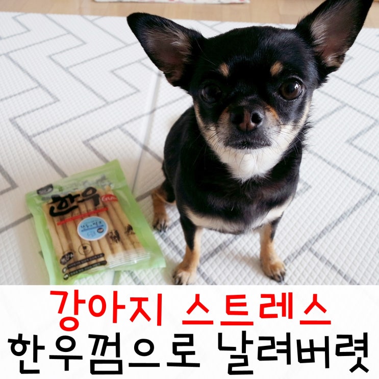 강아지껌 하나누리한우껌 한우와밀크 ⓦ펫라이크 네이버 블로그