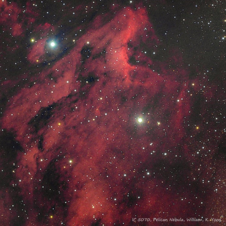 IC 5070 : Pelican Nebula : 네이버 블로그