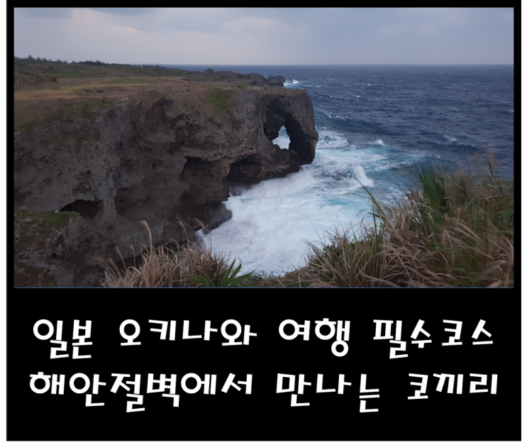 일본 오키나와 여행 필수코스 만좌모 네이버 블로그