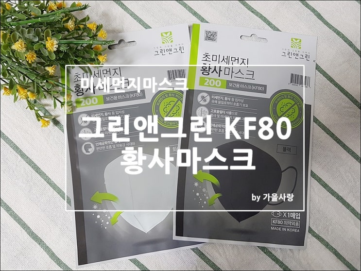 미세먼지마스크 KF80 그린앤그린 황사마스크 : 네이버 블로그