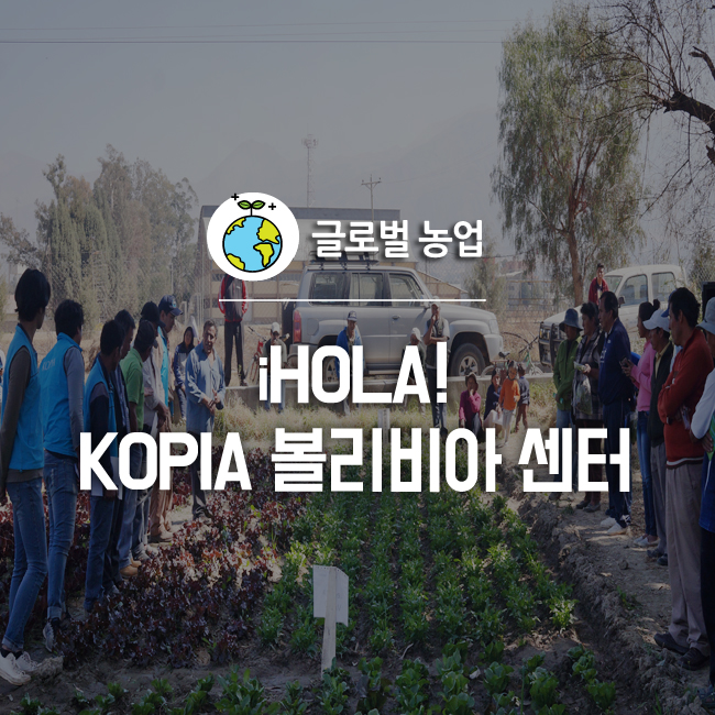 ¡HOLA!, 감자의 고향에서 씨감자를 기르는 KOPIA 볼리비아 센터 : 네이버 블로그