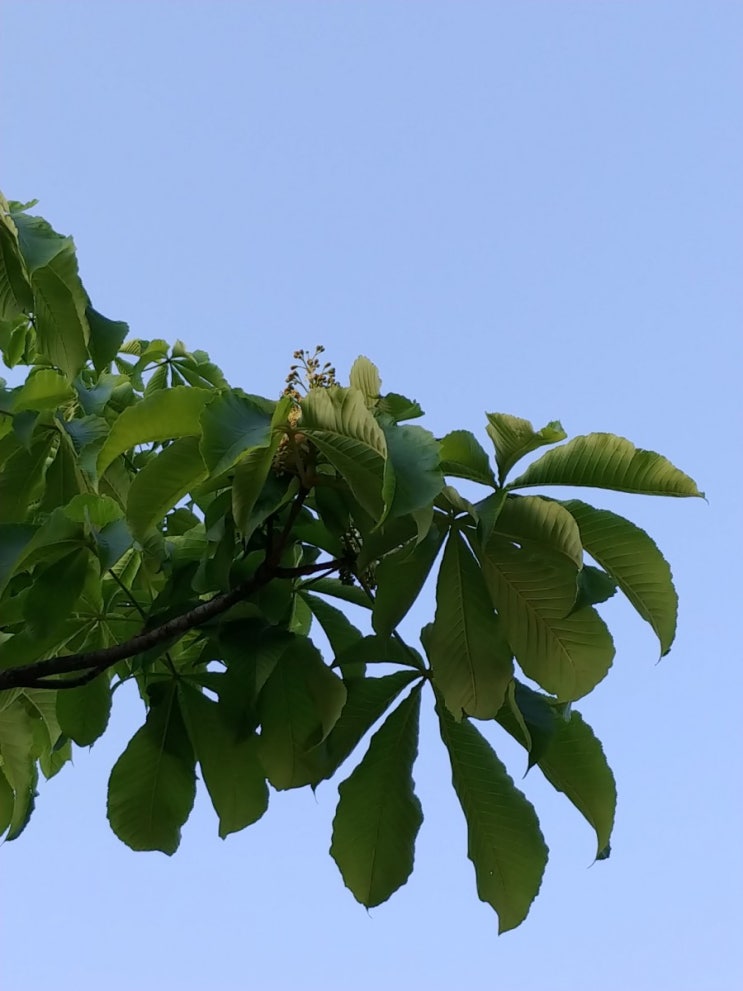 【ccm47】 주님 나라 임하시네 / 너는 일어나 / 부흥한국 - 작사.작곡 고형원 : 네이버 블로그