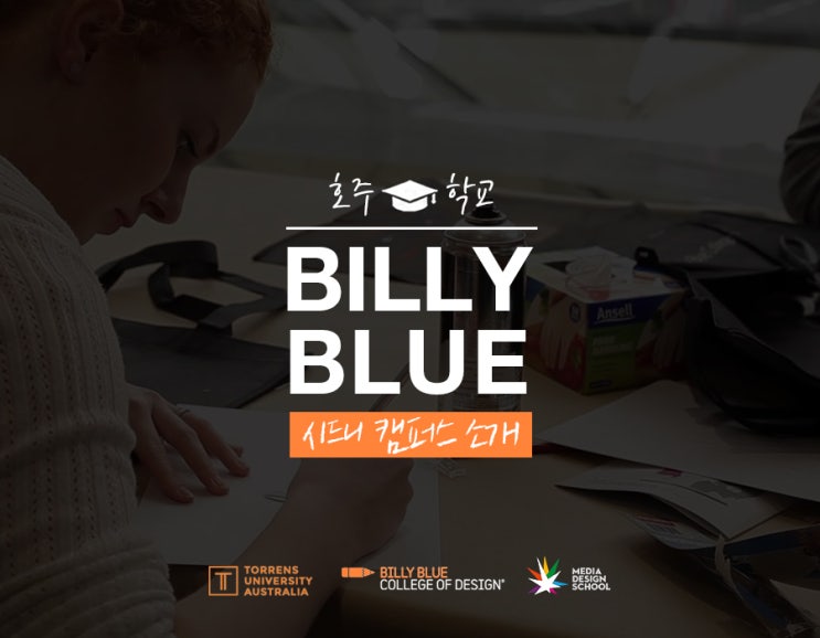[호주시드니유학] Billy Blue College of Design 빌리블루 디자인컬리지 - 시드니 캠퍼스 방문 후기 ...