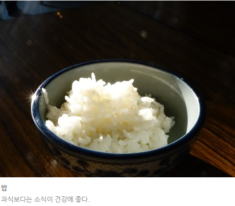 소식이 내 몸을 살린다? : 네이버 블로그