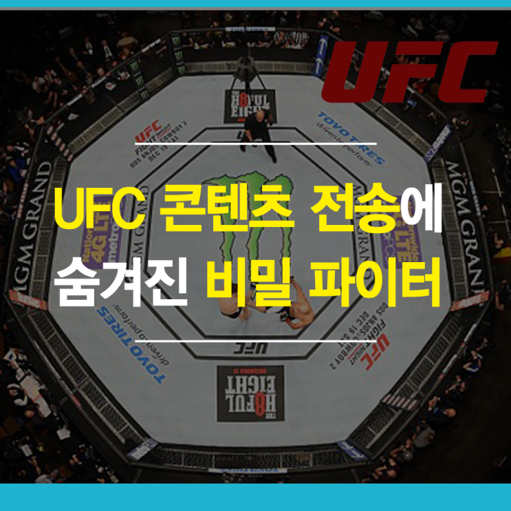 UFC 콘텐츠에 숨겨진 ‘비밀 파이터’ : 네이버 블로그