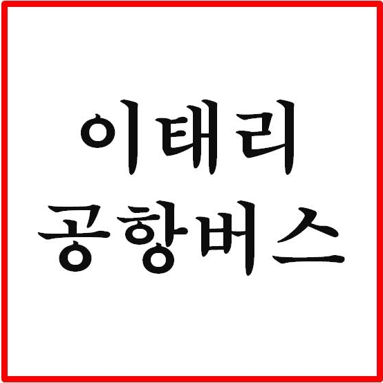 이탈리아 이태리 공항버스 타기 로마 치암피노 로마 Fco 밀라노 베르가모 밀라노 말펜사 피사 공항 바리공항