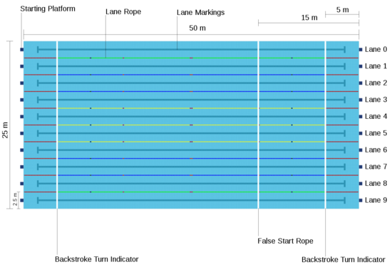 경기도 50m 레인 수영장 : 네이버 블로그