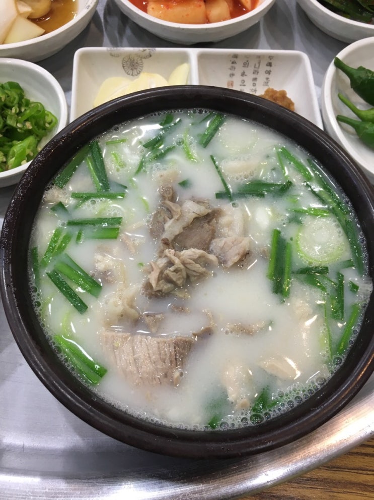 달서구 진천동상인동월배 현지인 추천 국밥 맛집소문난 부자 돼지국밥 진천점 네이버 블로그