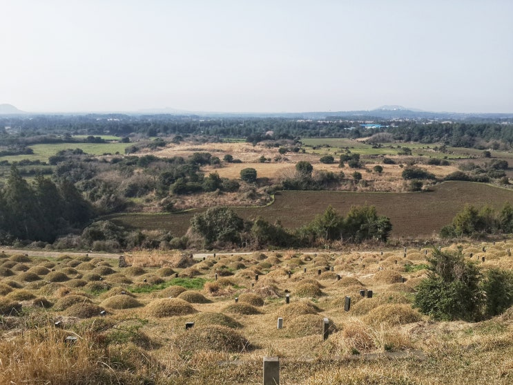 성읍민속마을 주변 오름투어_ 본지오름, 남산봉 : 네이버 블로그