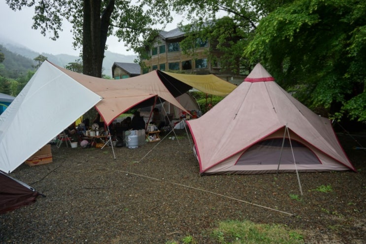 #92 어쩌다 걸린 빌붙기 캠핑ㅋㅋ with 캠핑노리 : 네이버 블로그