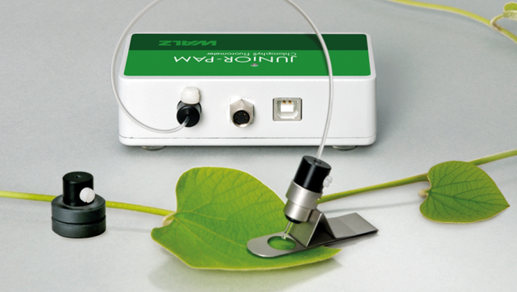 JUNIOR PAM 독일 Walz 한국 공식총판 그리닉스 : 네이버 블로그