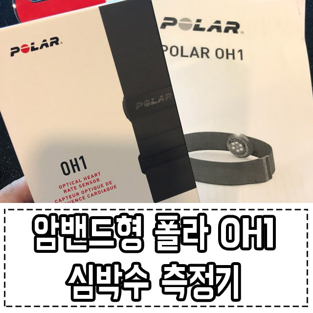 심박측정기 Polar OH1 착용하고 운동하자 ! : 네이버 블로그