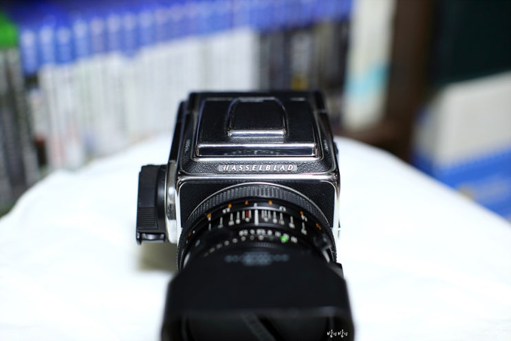 [HASSELBLAD 503cxi] 중형 필름카메라 핫셀블라드 영입과 첫롤 테스트 : 네이버 블로그