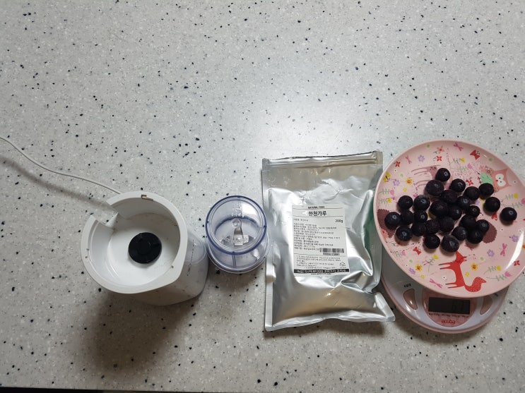 강아지 수제간식 블루베리 푸딩 집에서 간단하게 만들기 말티즈 댕순이와라움이 퍼피라움 네이버 블로그