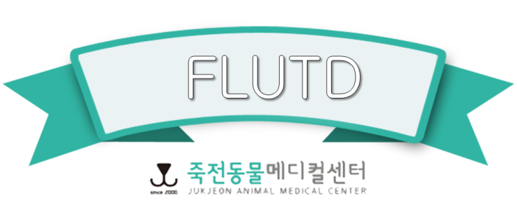 [대구 죽전동물메디컬센터] 고양이 FLUTD(Feline Lower Urinary Tract Disease) : 네이버 블로그