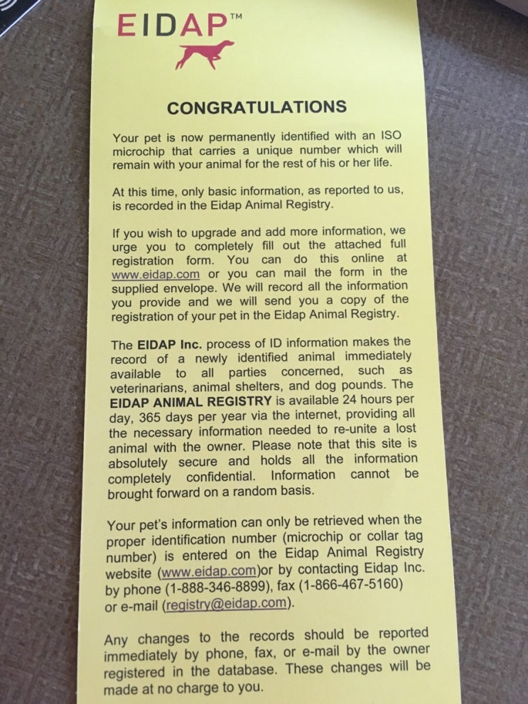 강아지 마이크로칩 캐나다에서 다시 등록하기 : 네이버 블로그