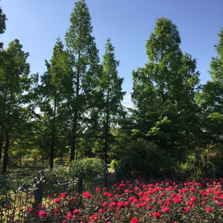 #대전 한밭수목원 : 네이버 블로그