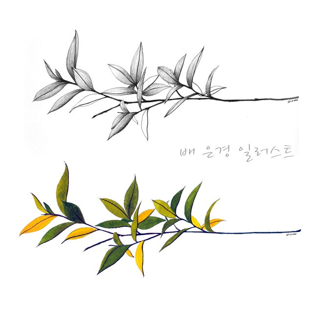 나뭇가지 그림 원형 스티커 심플디자인 땡큐 핸드메이드 스티커 네이버 블로그