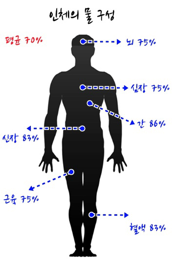 물의효능과 생수종류 지하수 미네랄워터 해양심층수 알칼리수 수소수 산소수 탄산수 네이버 블로그