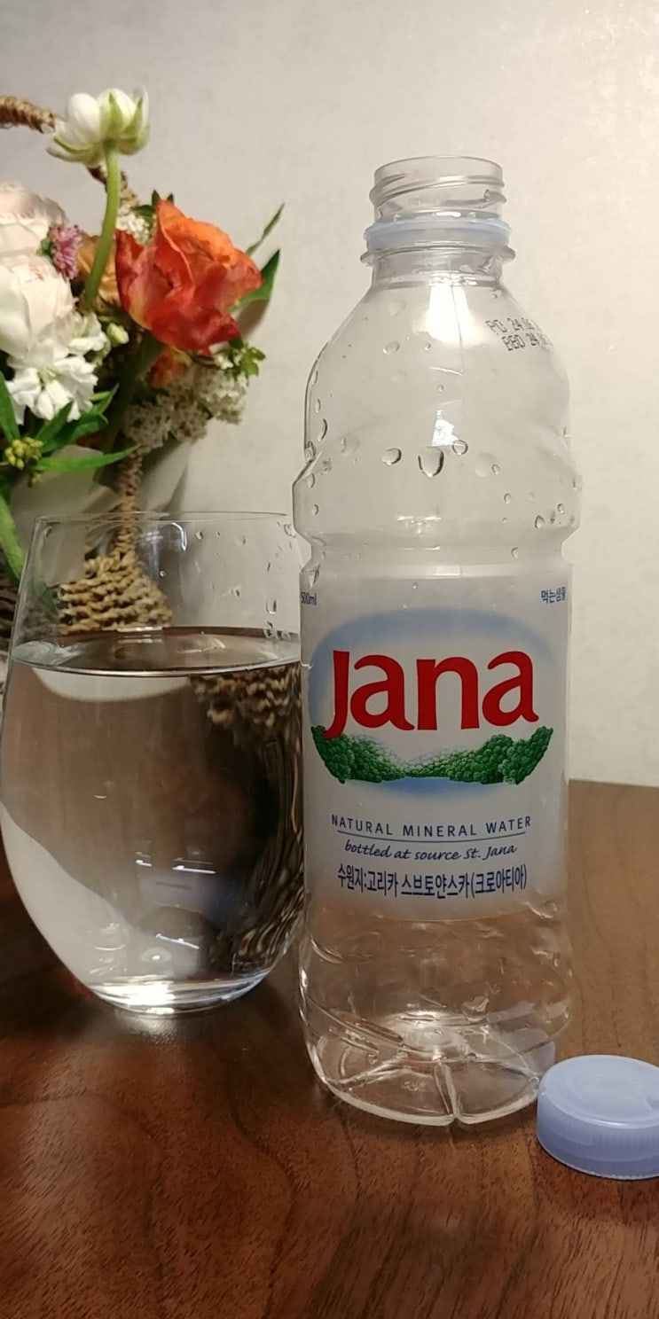 천연미네랄워터 크로아티아 야나 (Jana Natural Mineral Water) : 네이버 블로그