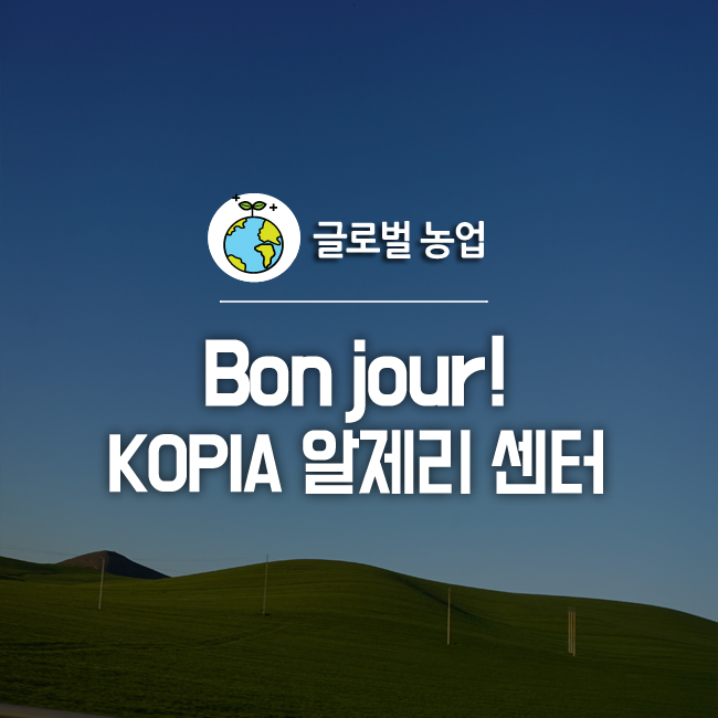사막에서 푸른 빛의 식량 창고를 꿈꾸는 KOPIA 알제리 센터 : 네이버 블로그