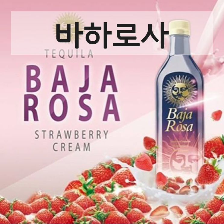 딸기리큐르 [바하로사] 가격 / Baja rosa : 네이버 블로그