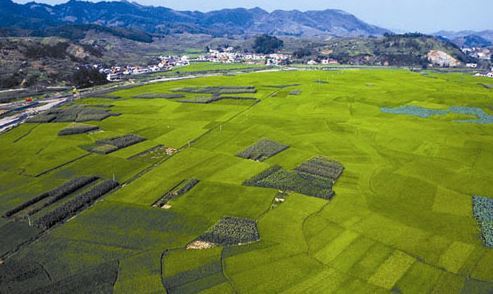 부동산 투자에 앞서 조심해야할 부분들 혹은 남들은 아는데 나는 모르는 포인트와 기초지식. : 네이버 블로그