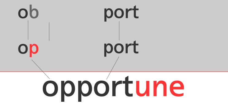 opportune, opportunity, chance - 어원학습 : 네이버 블로그