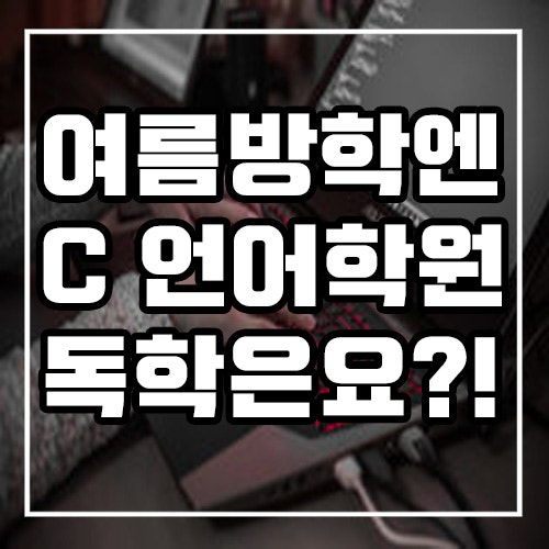 여름방학 C언어학원, 독학은요 ? : 네이버 블로그