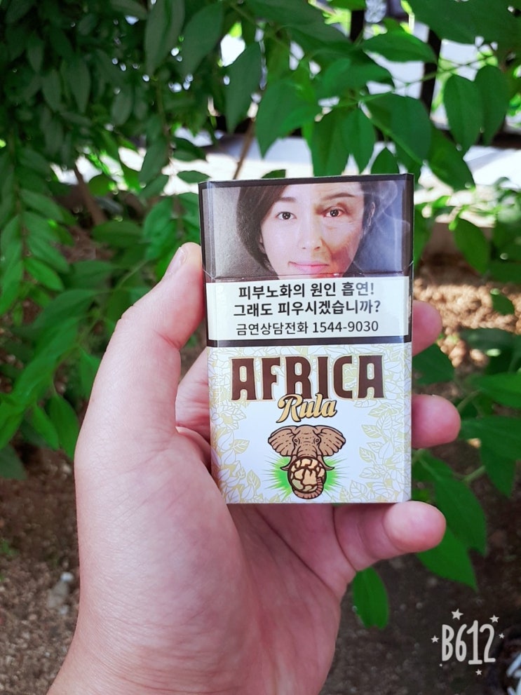 #2 디스 아프리카 룰라 (This Africa Rula) 리뷰 : 네이버 블로그