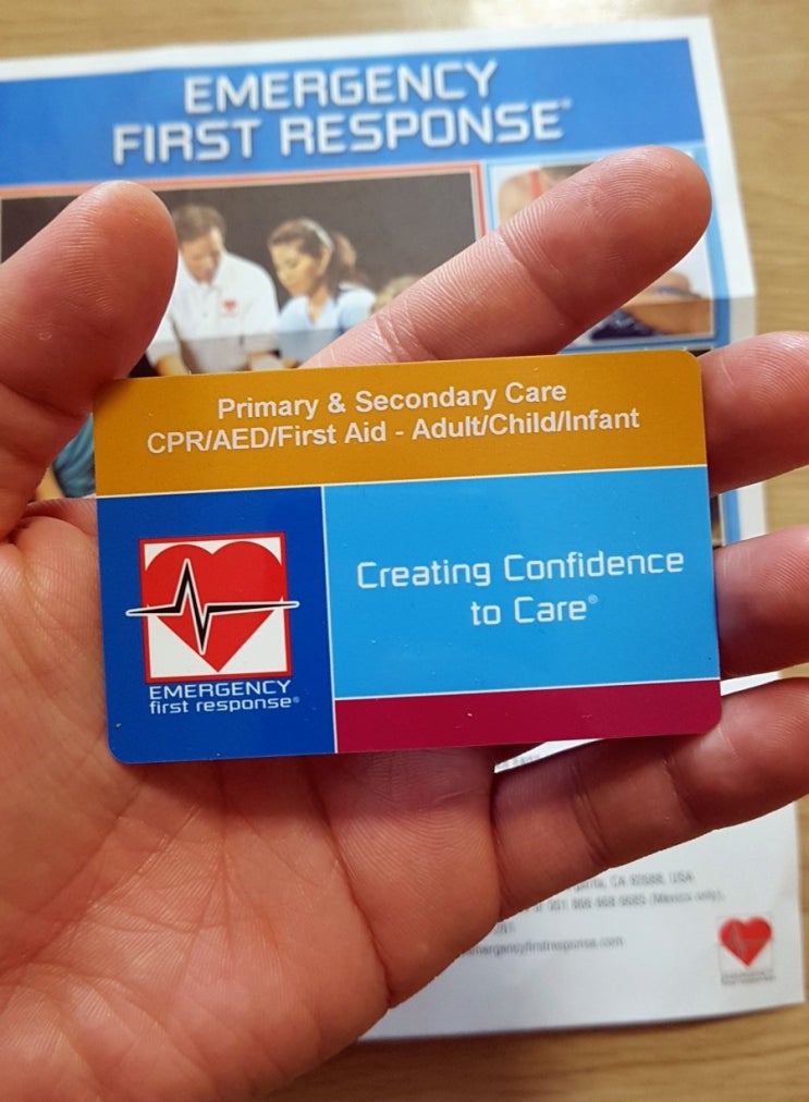 응급처치 EFR(Emergency First Response) : 네이버 블로그