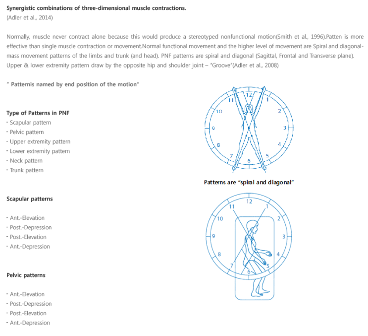 광주 물리치료사 화이팅, PNF Patterns : 네이버 블로그