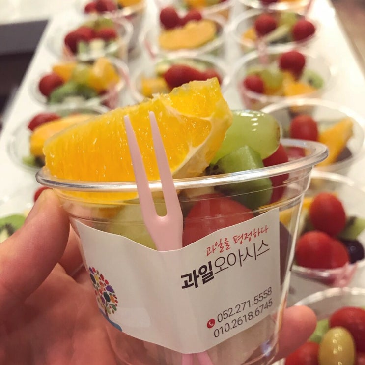 울산 과일오아시스 본점과일도시락컵과일행사간식어린이집생일파티간식 네이버 블로그