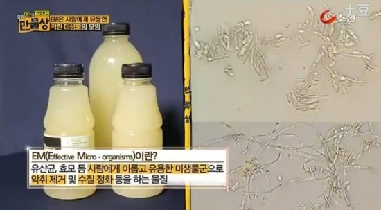 em발효액(유용미생물) 사용법, em발효액 무료로 주는곳 : 네이버 블로그