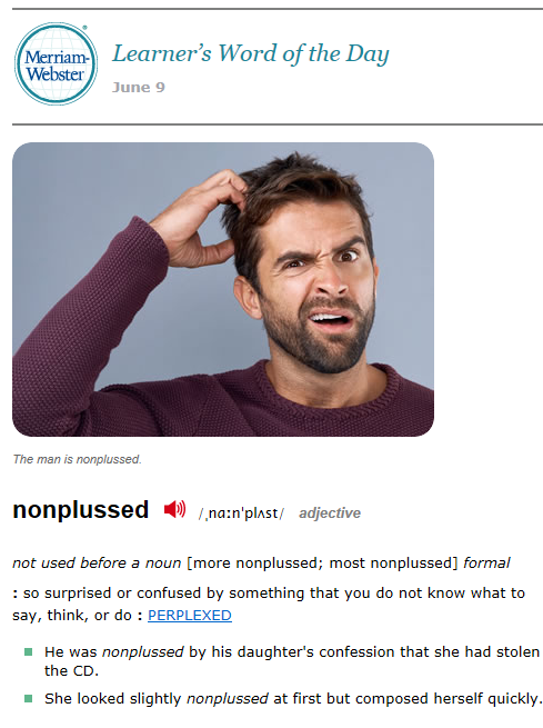 오늘의 영단어 : nonplussed : 네이버 블로그