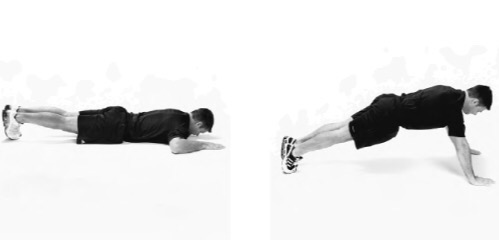 [FMS] Trunk Stability Push-up Correctives /100body : 네이버 블로그