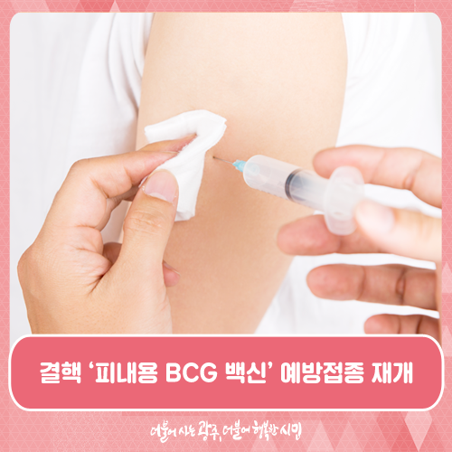 광주시 결핵 ‘피내용 Bcg 백신 예방접종 재개 네이버 블로그