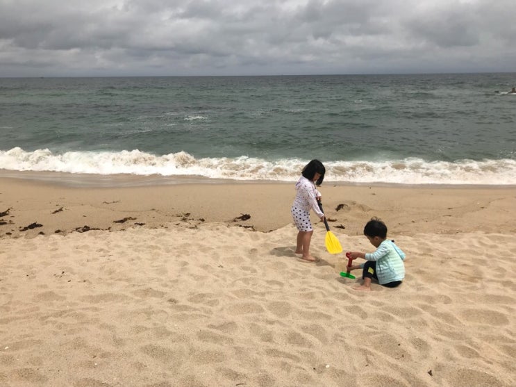 아이와 함께하는 여행 강릉여행편2 네이버 블로그