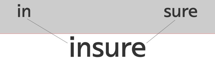 insure, insurance, assure, assurance, ensure - 어원학습 : 네이버 블로그
