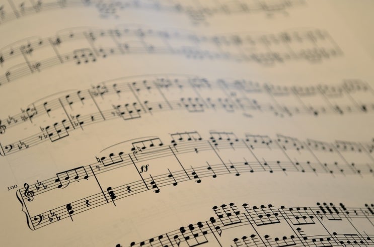 palindrome [회문] 앞에서나 뒤에서나 어떻게 읽어도 똑같은 재미있는 영어표현들(feat. semordnilap ...