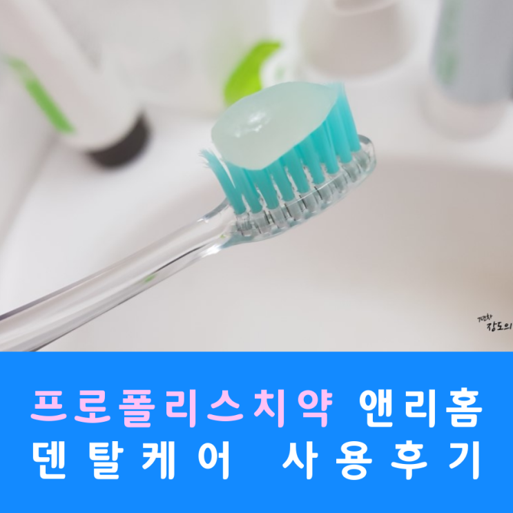 프로폴리스치약 앤리홈 덴탈케어 사용후기 네이버 블로그