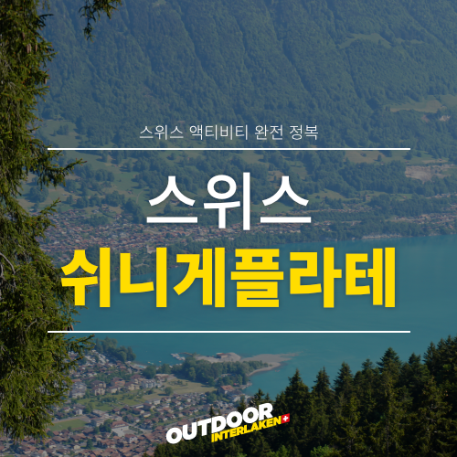 스위스 인터라켄 여행의 꽃 이토록 아름다운 쉬니케플라테 Schynige Platte 가격시간가는방법쉬니케플라테 네이버 블로그